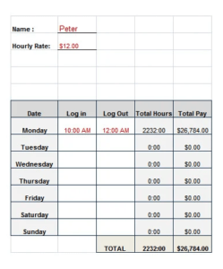 Net Paycheck Calculator Example | Free Excel Templates
