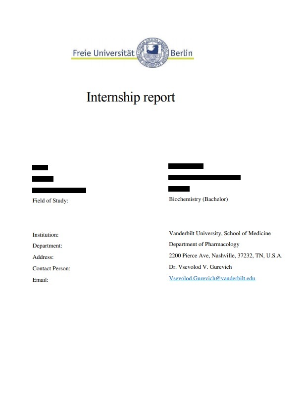 Blank Internship Report Template | Free Excel Templates