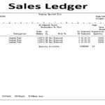 Sales Ledger Templates | 24+ Free Printable Xlsx, Docs & PDF Formats ...